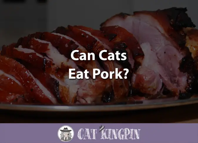 Can Cats Eat Pork? - Cat Kingpin