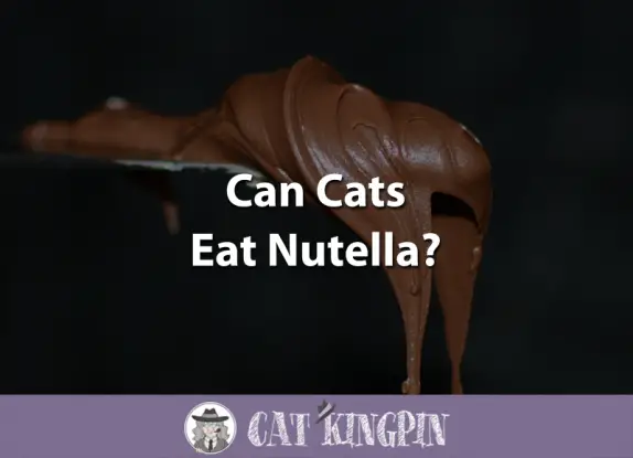 Can Cats Eat Nutella? - Cat Kingpin